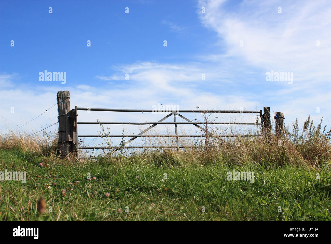 Field gate on top of a hill with blue sky Stock Photo - Alamy