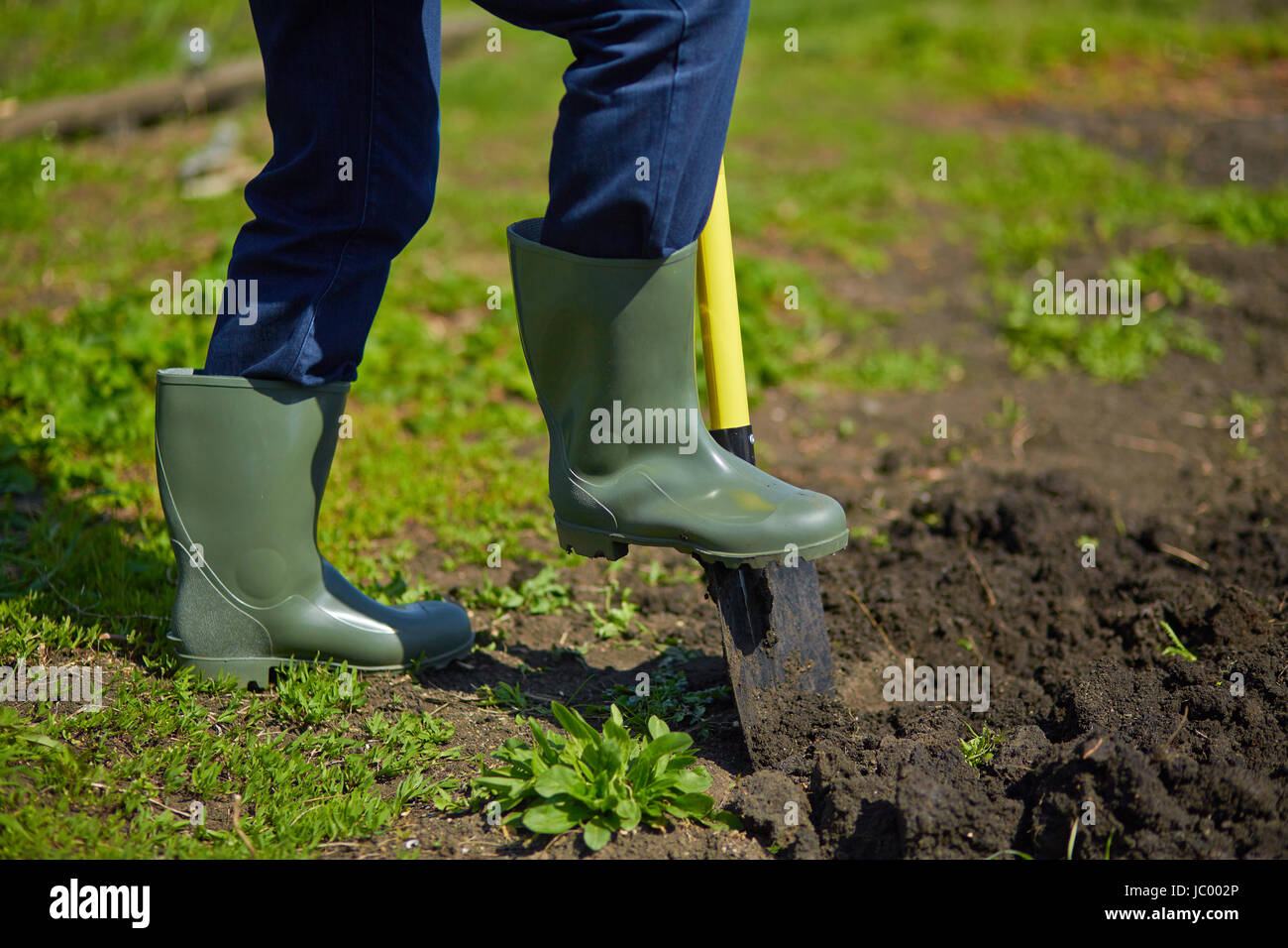 Image of male farmer digging in the garden Stock Photo - Alamy