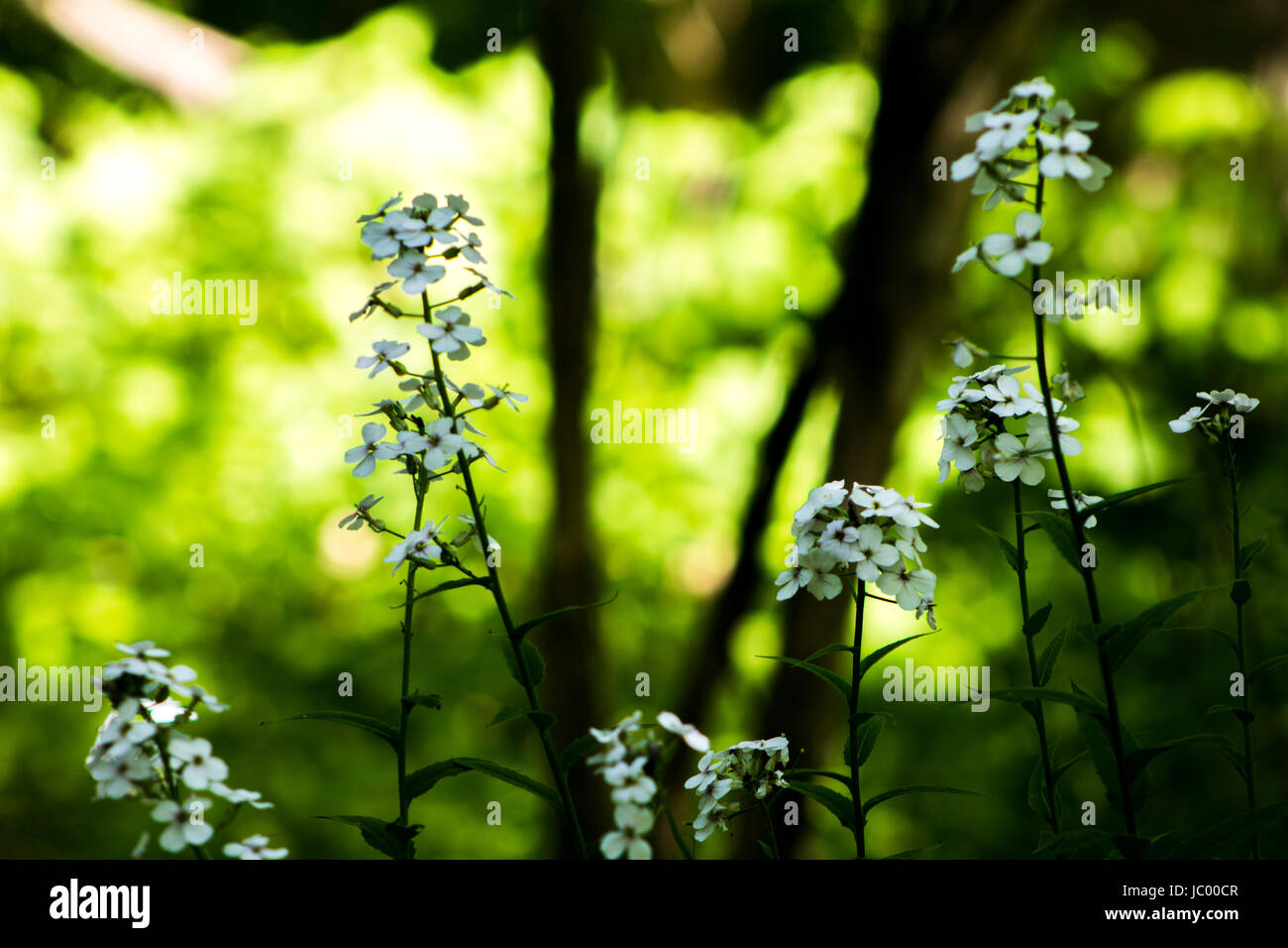 Columbus parks hi-res stock photography and images - Alamy