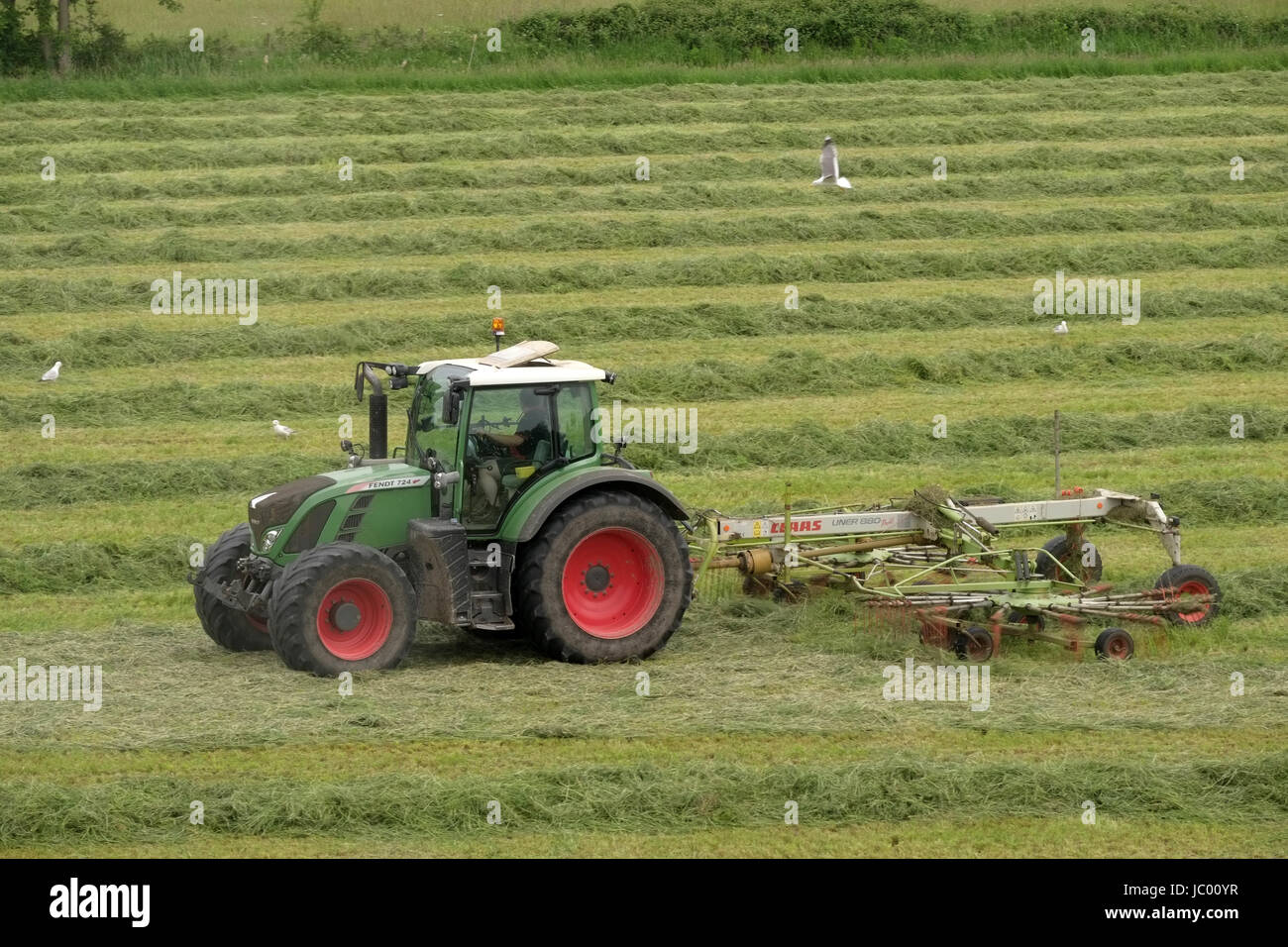 Freshly Mown Hay Field High Resolution Stock Photography and Images - Alamy