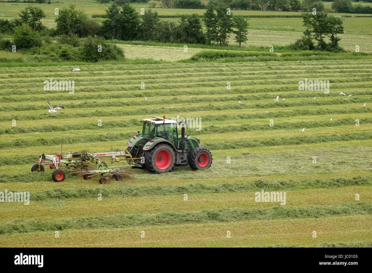 Freshly Mown Hay Field High Resolution Stock Photography and Images - Alamy