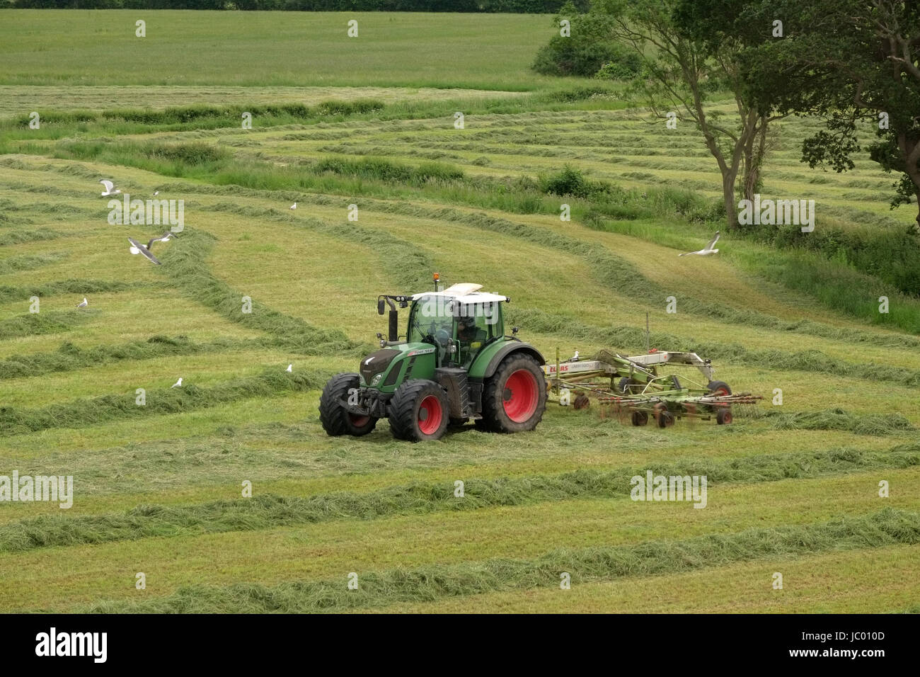 Turning grass drying tractor in hi-res stock photography and images - Alamy