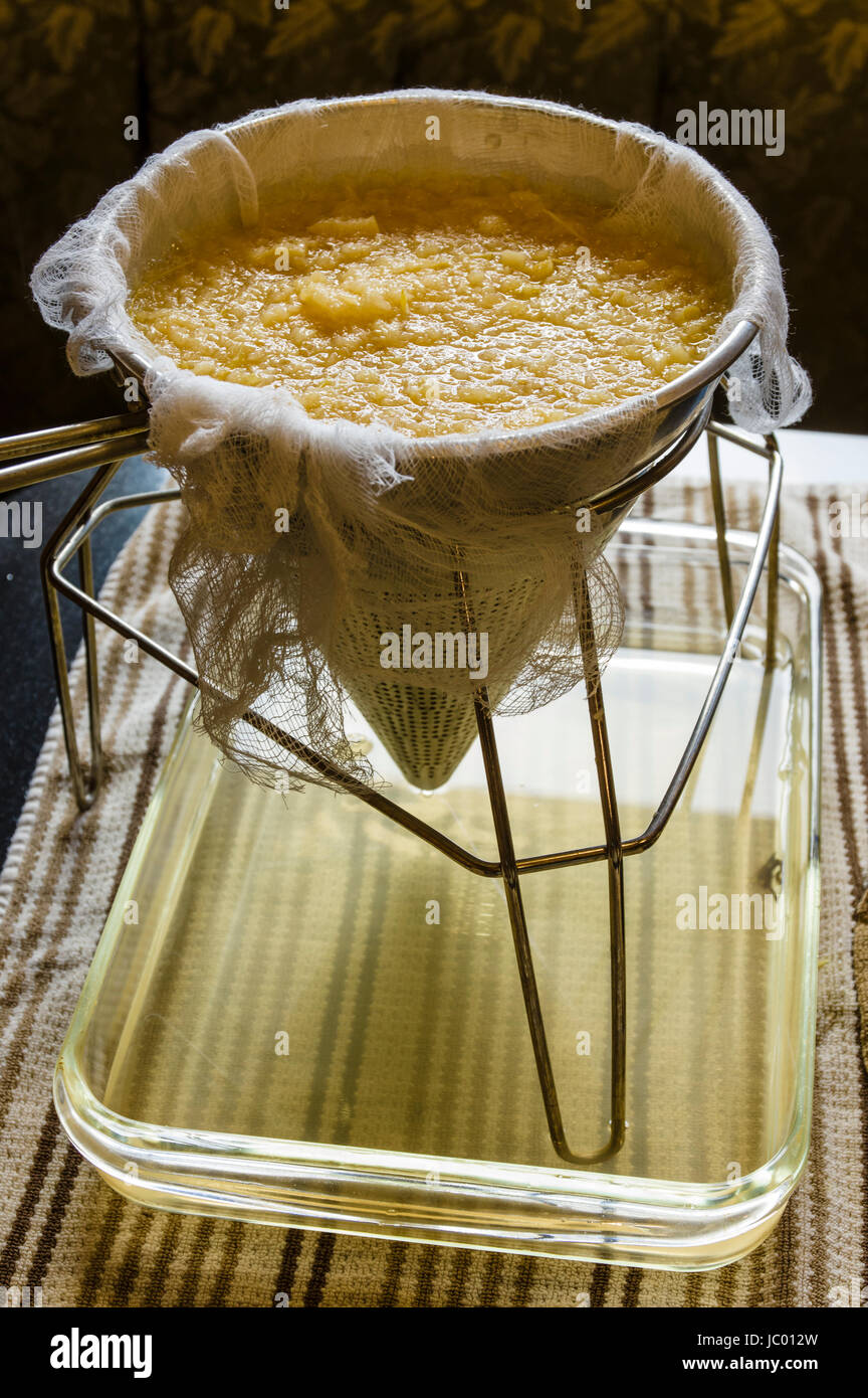 Straining Food