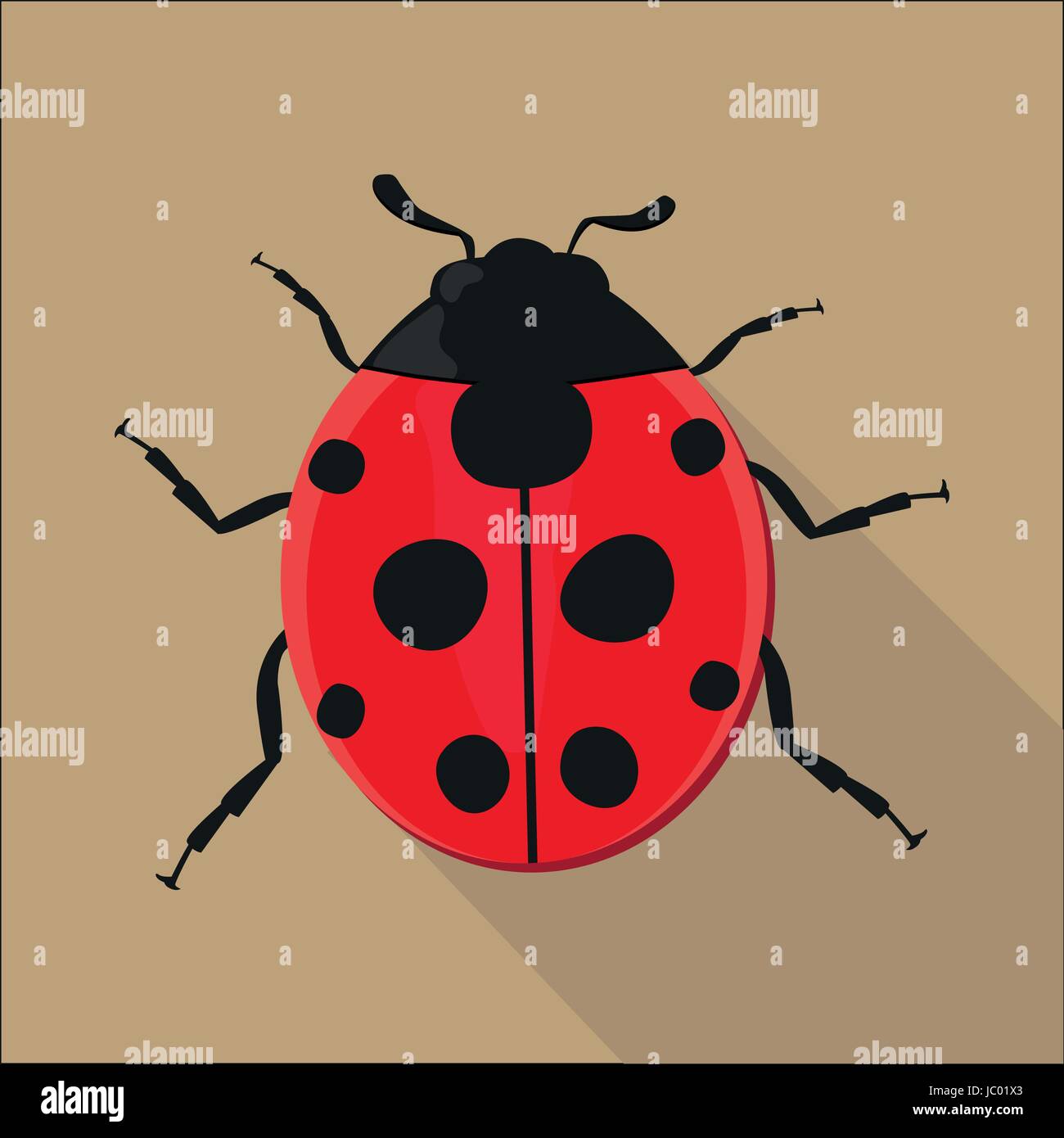 Ladybug isolated flat style, Ladybug icon isolated on background ...
