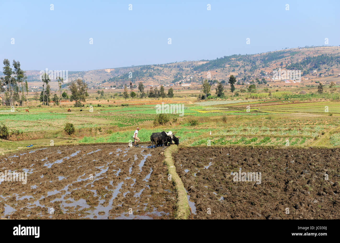 Malagasy farming hi-res stock photography and images - Alamy