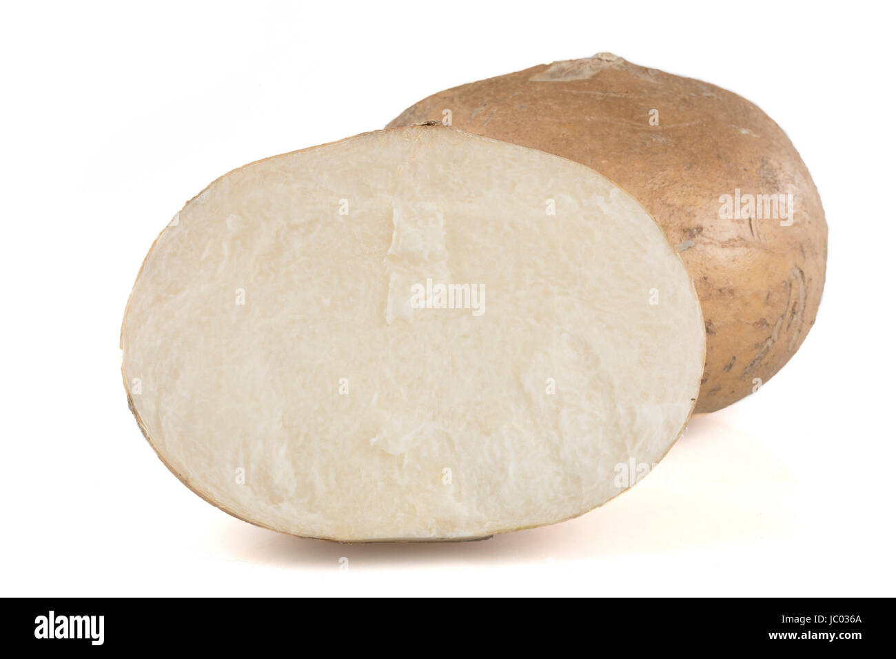 Fresh jicama isolated on a white background with shadow Stock Photo - Alamy