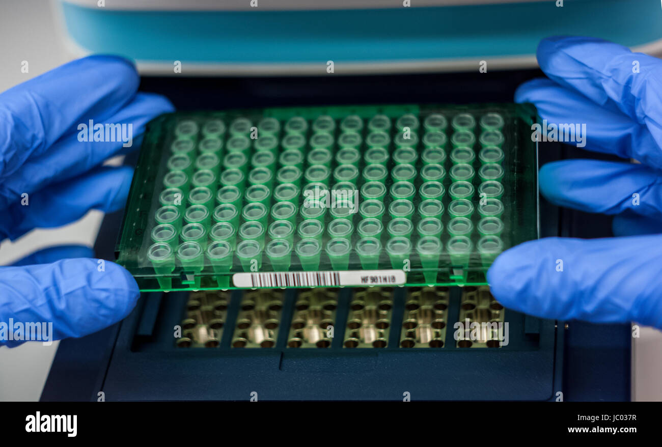 Student science research display hi-res stock photography and images ...