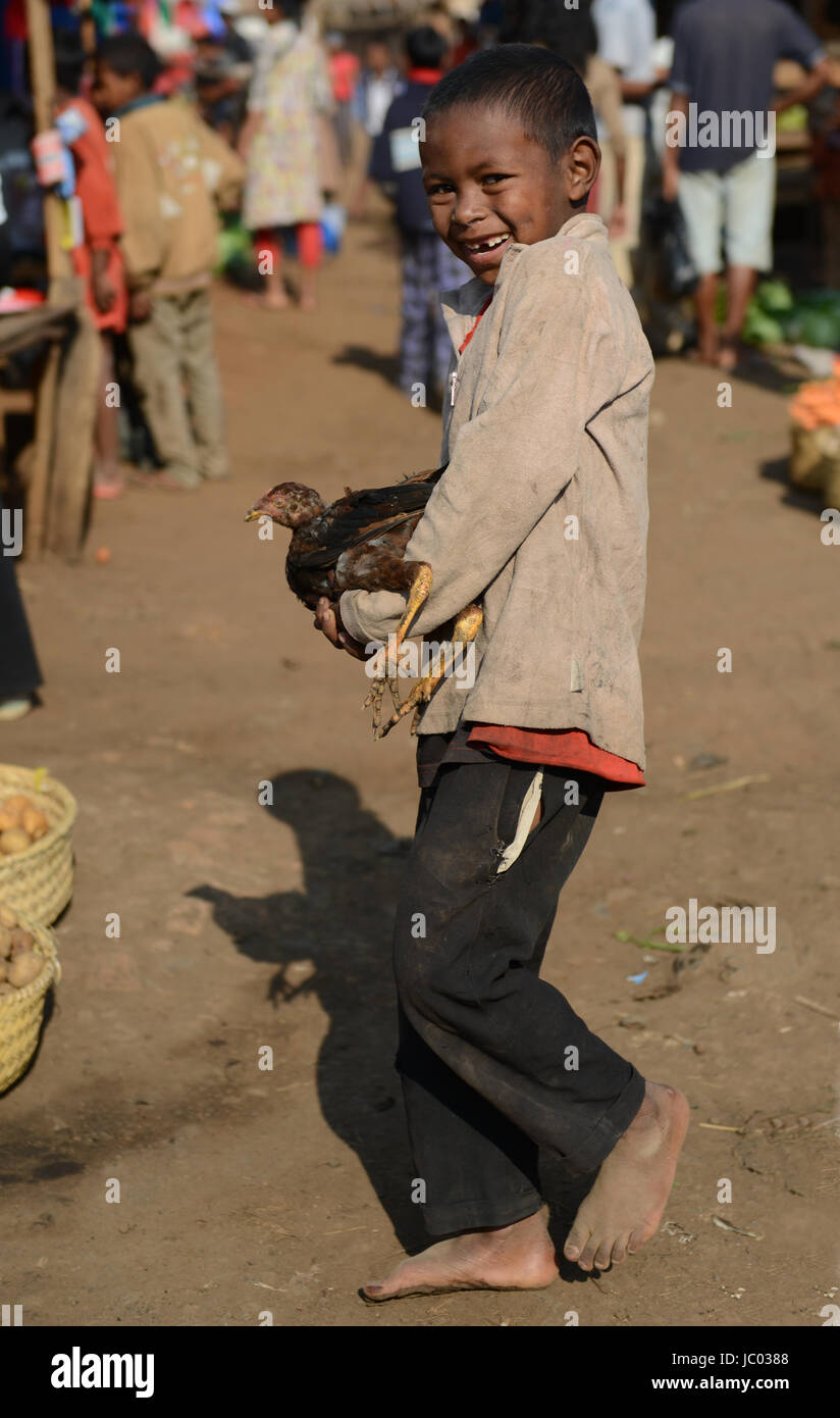 Madagascar chicken hi-res stock photography and images - Alamy