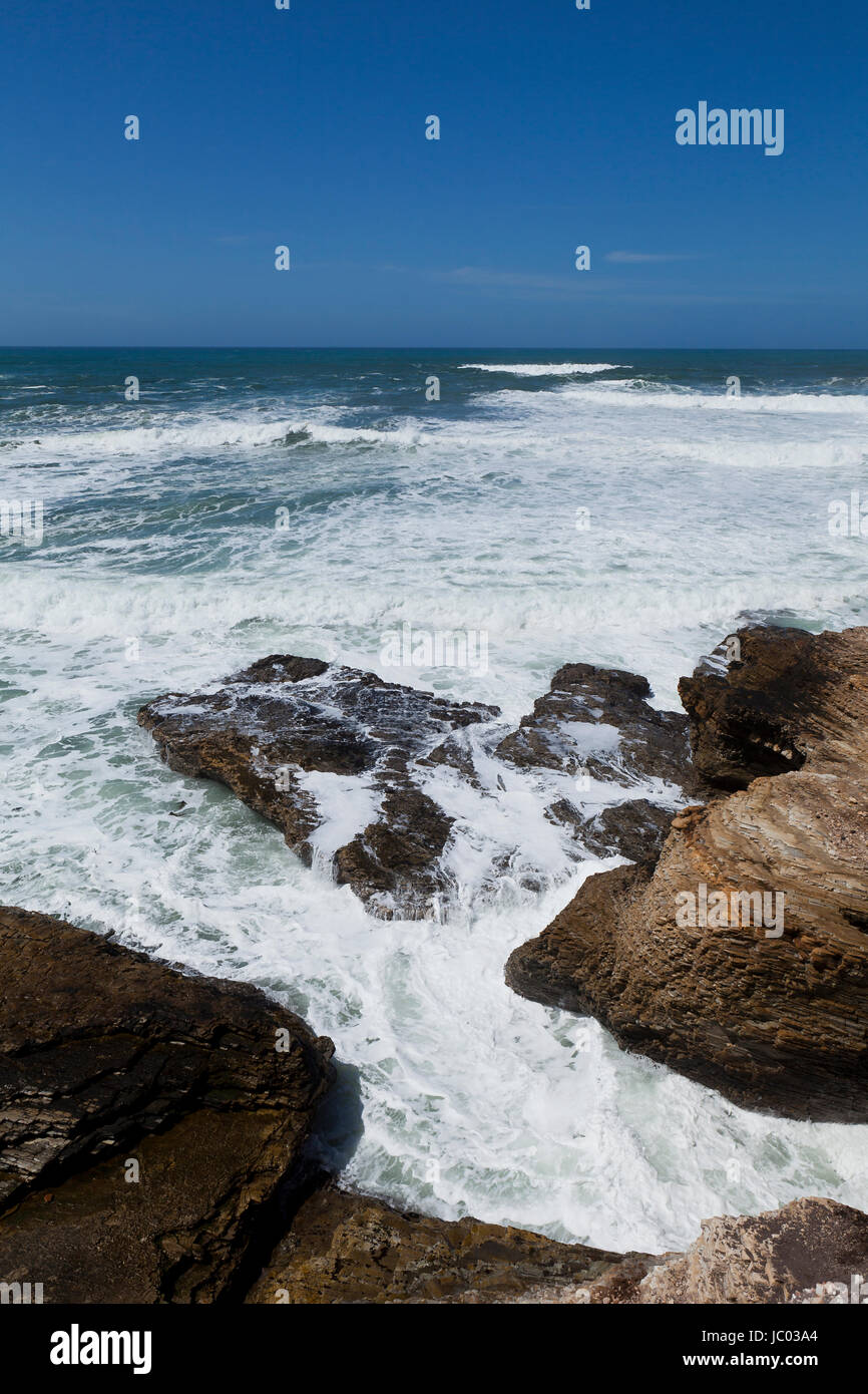 Point Buchon State Marine Reserve and Point Buchon Marine Conservation ...