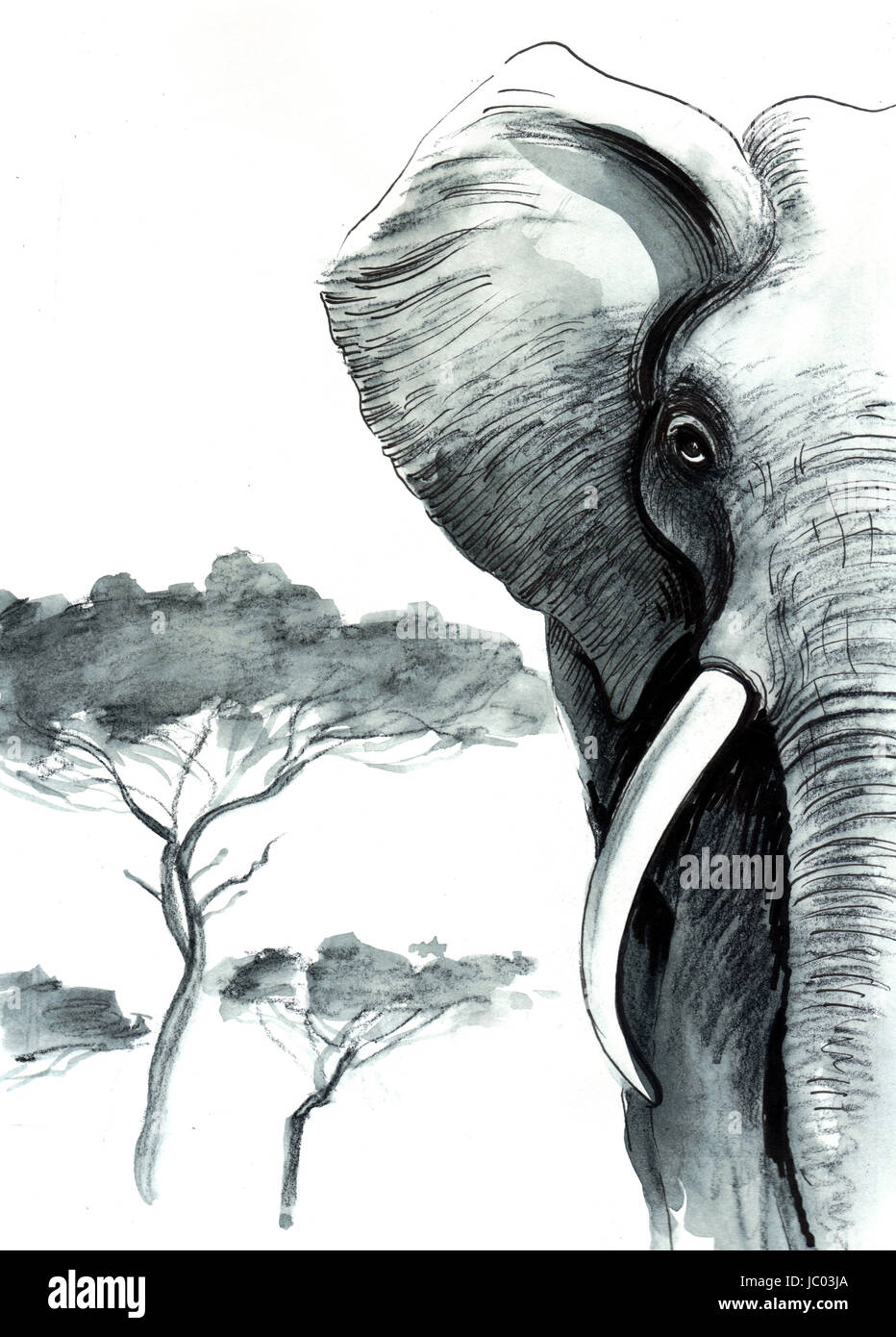 Elephant in the savanna Stock Photo - Alamy