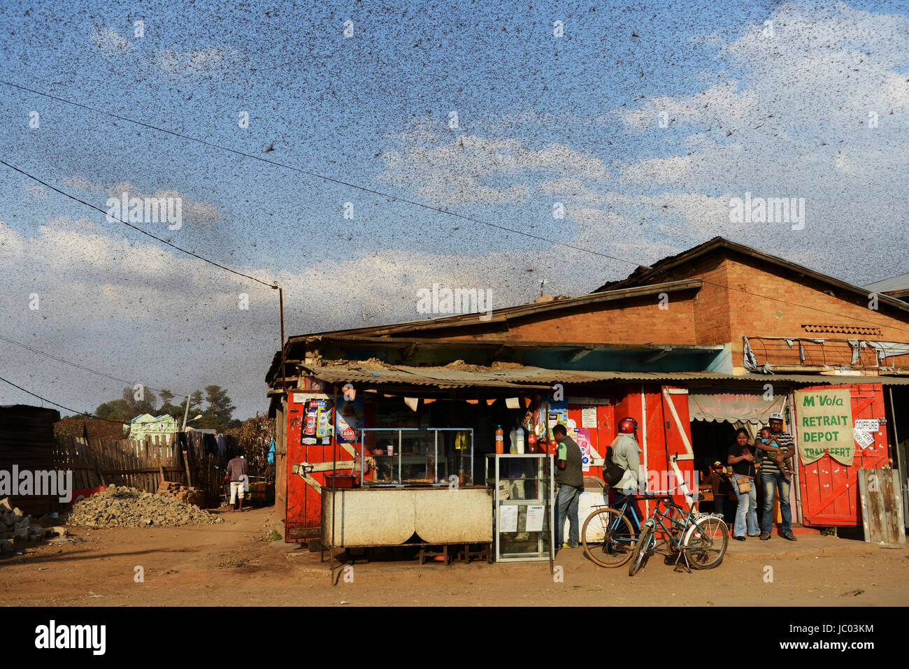 Locust swarm madagascar hi-res stock photography and images - Alamy