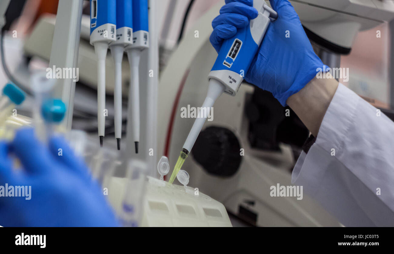 Modern scientist working in biotechnological laboratory equipment for ...
