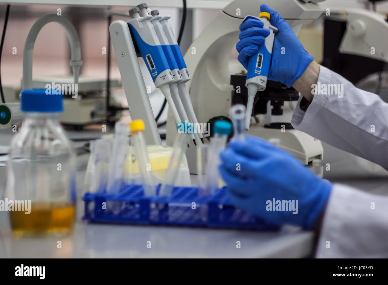 Modern scientist working in biotechnological laboratory equipment for ...