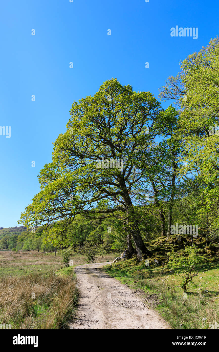 Perimeter track hi-res stock photography and images - Alamy