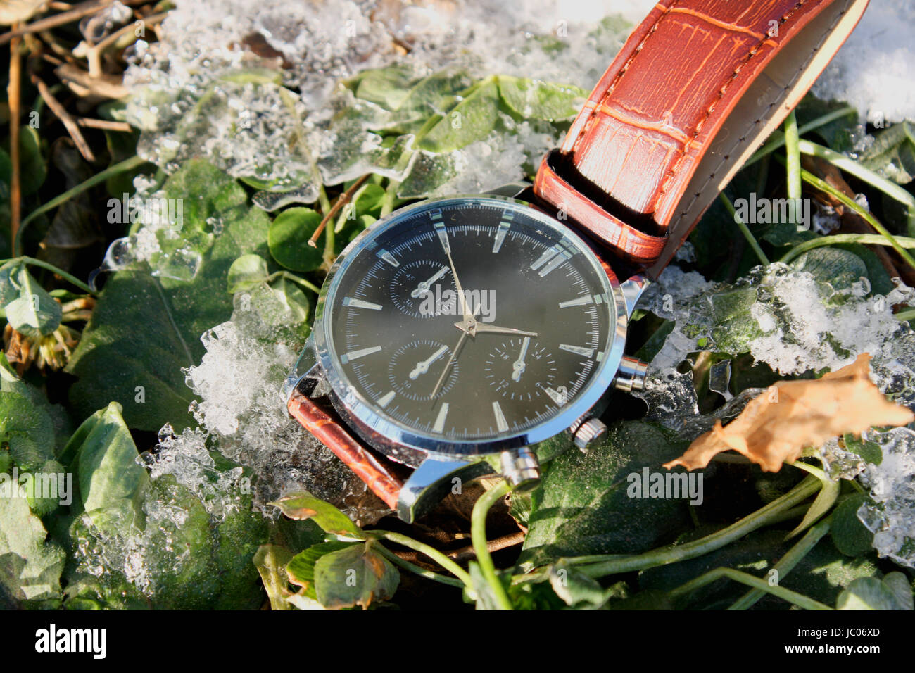Luxury Wristwatch in Snow Stock Photo - Alamy