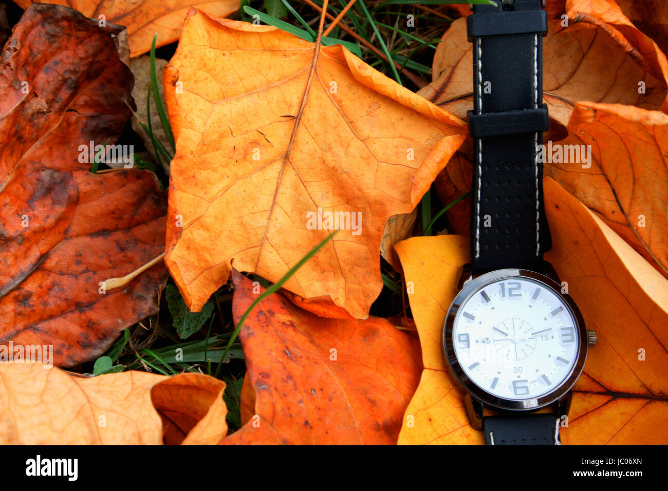 Autumn Leaves and Clock isolated Stock Photo - Alamy