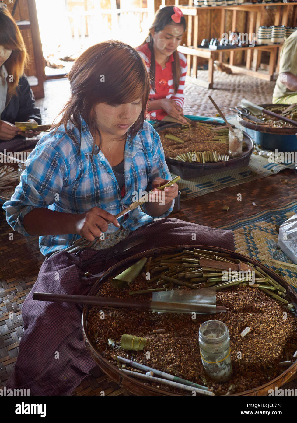 Making cheroot by hand in a floating village on Inle lake Myanmar Stock ...