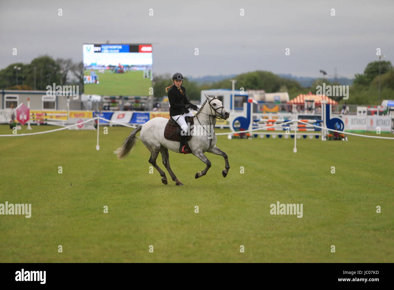 selection of images from the 2017 Balmoral Show now held in the Maze ...