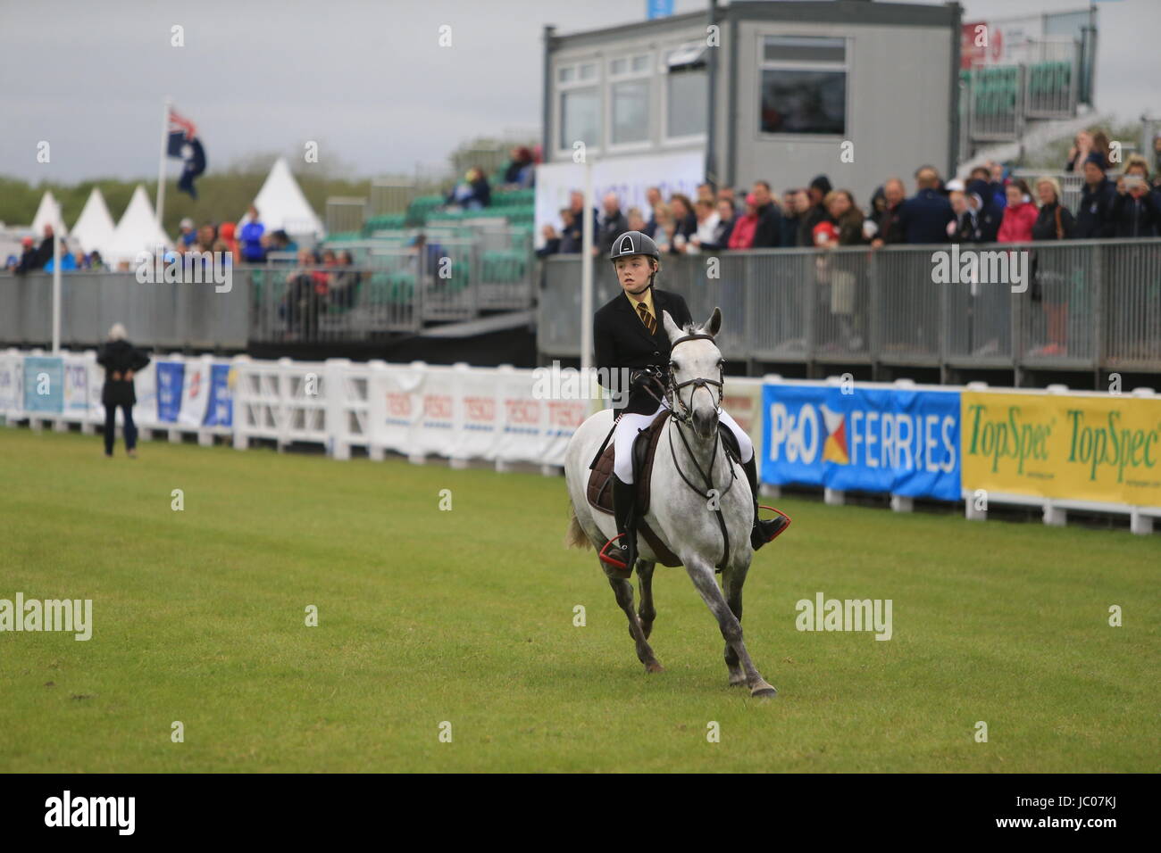 selection of images from the 2017 Balmoral Show now held in the Maze ...