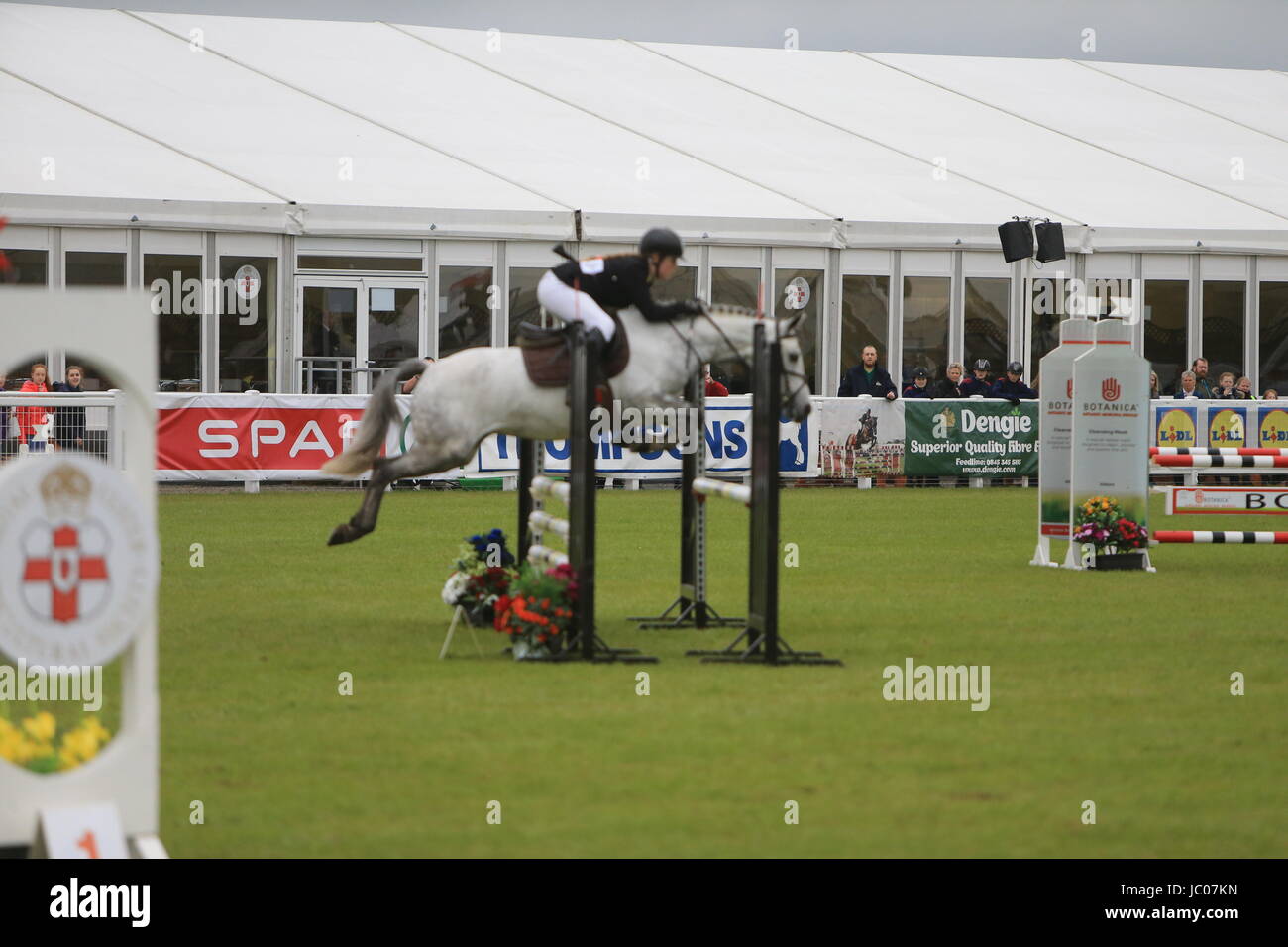 selection of images from the 2017 Balmoral Show now held in the Maze ...