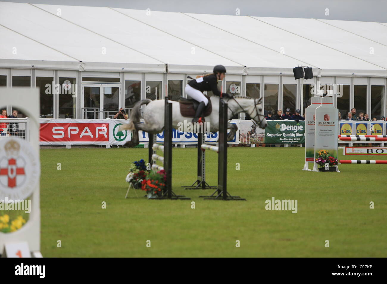 selection of images from the 2017 Balmoral Show now held in the Maze ...