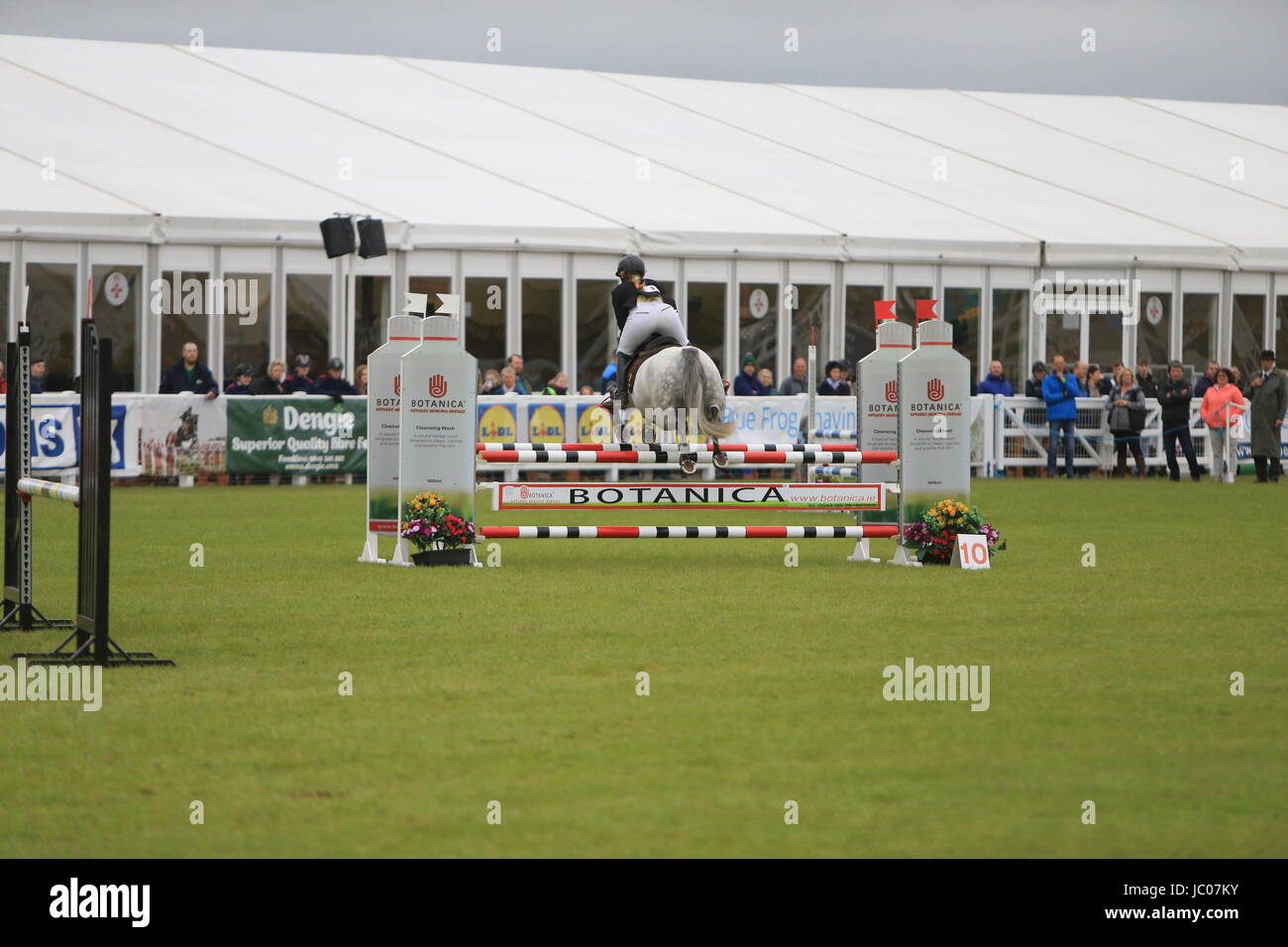 selection of images from the 2017 Balmoral Show now held in the Maze ...