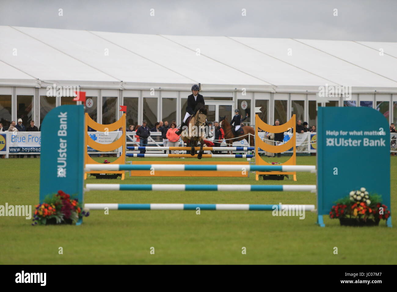 selection of images from the 2017 Balmoral Show now held in the Maze ...