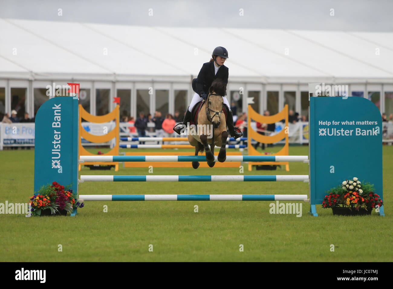 selection of images from the 2017 Balmoral Show now held in the Maze ...