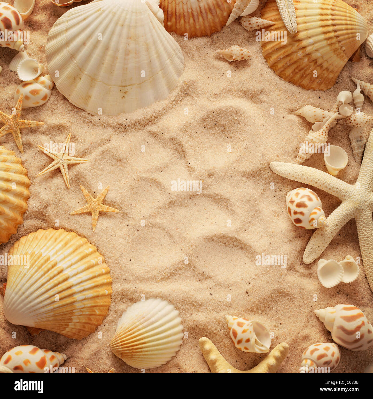 summer background. seashells border on sand Stock Photo - Alamy