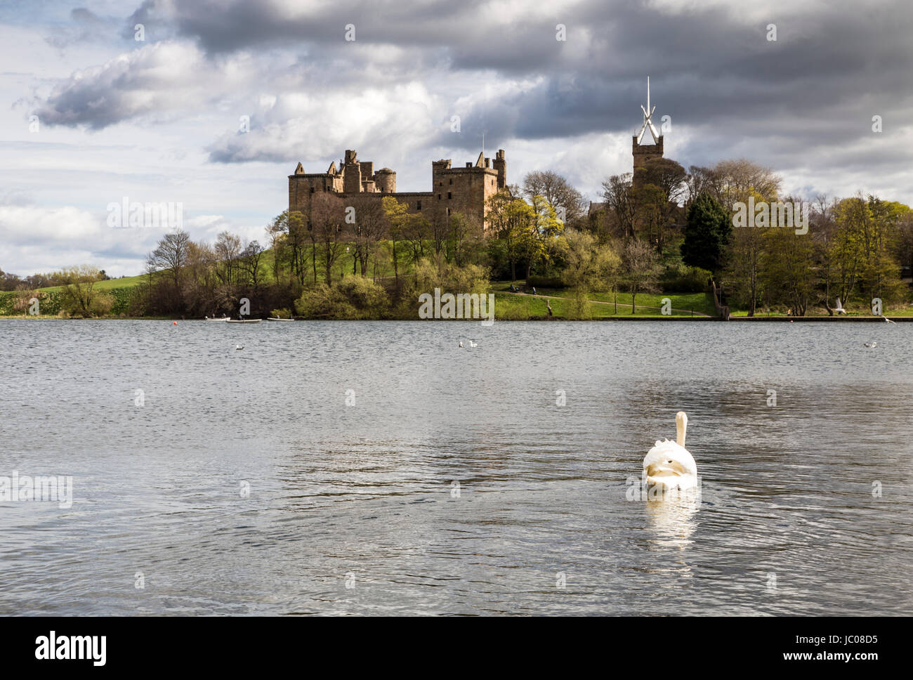 Linlithgow Loch Swan High Resolution Stock Photography and Images - Alamy