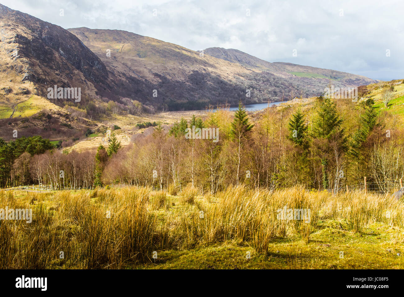 A beautiful irish mountain landscape in spring. Gleninchaquin park in ...