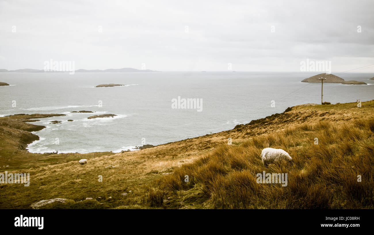 Irish ocean wide hi-res stock photography and images - Alamy