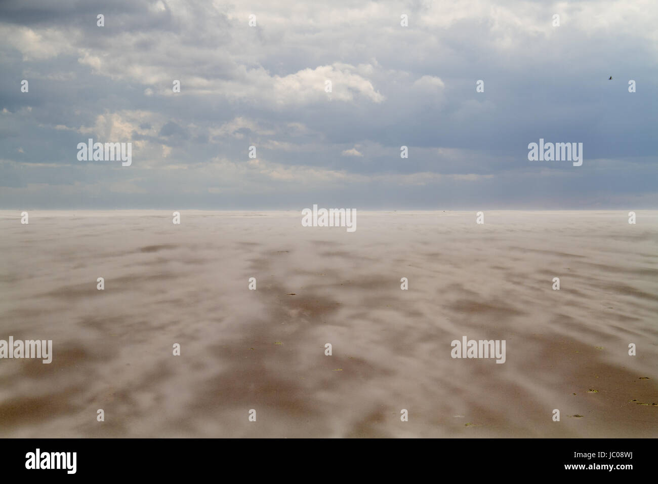 Sand blowing on beach hi-res stock photography and images - Alamy