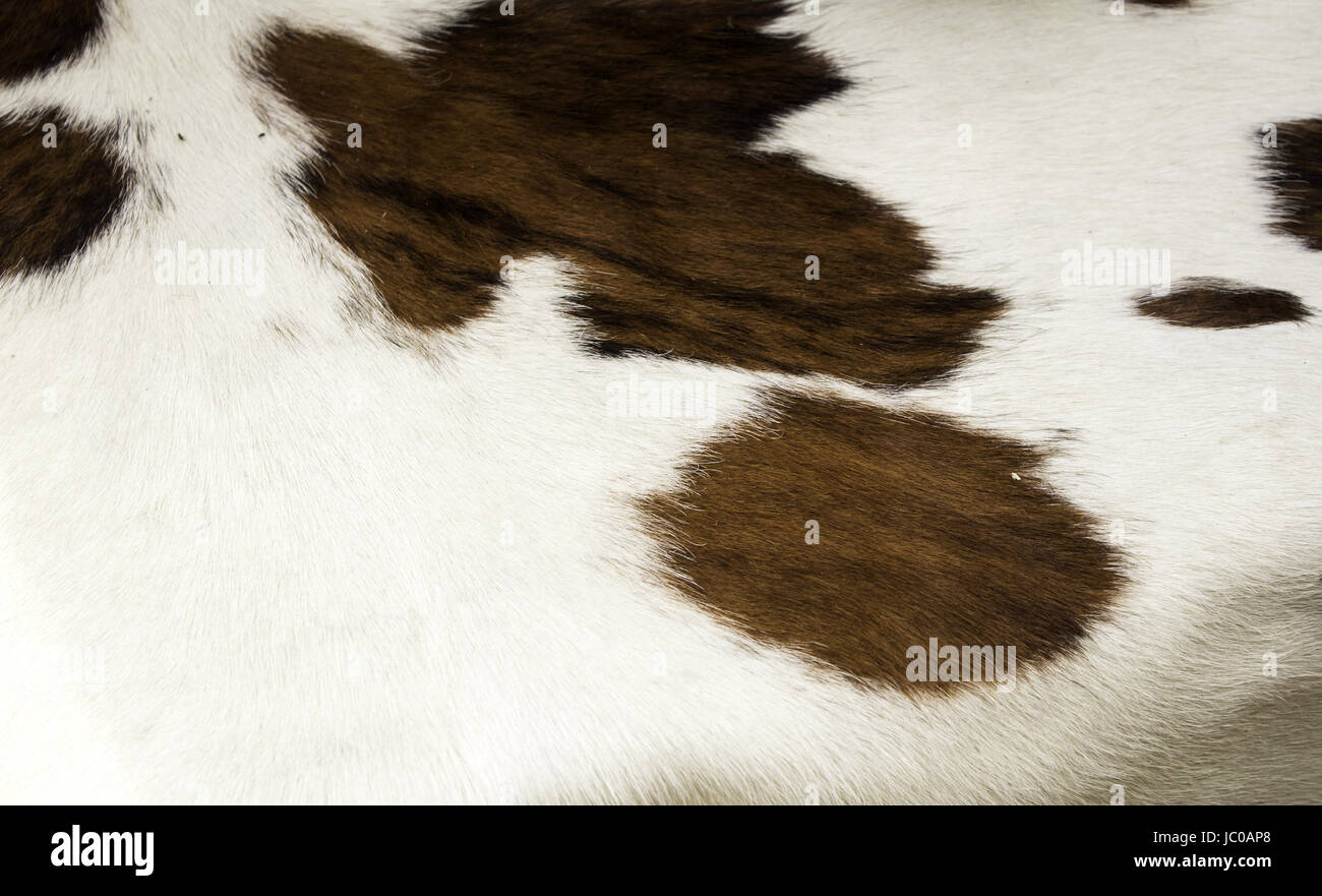 Natural goat skin in carpet, furs and textures Stock Photo - Alamy