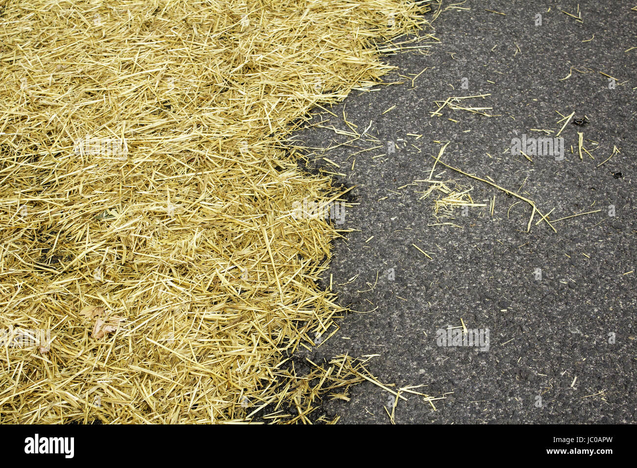 Straw scattered on farm soil, organic animal food Stock Photo - Alamy