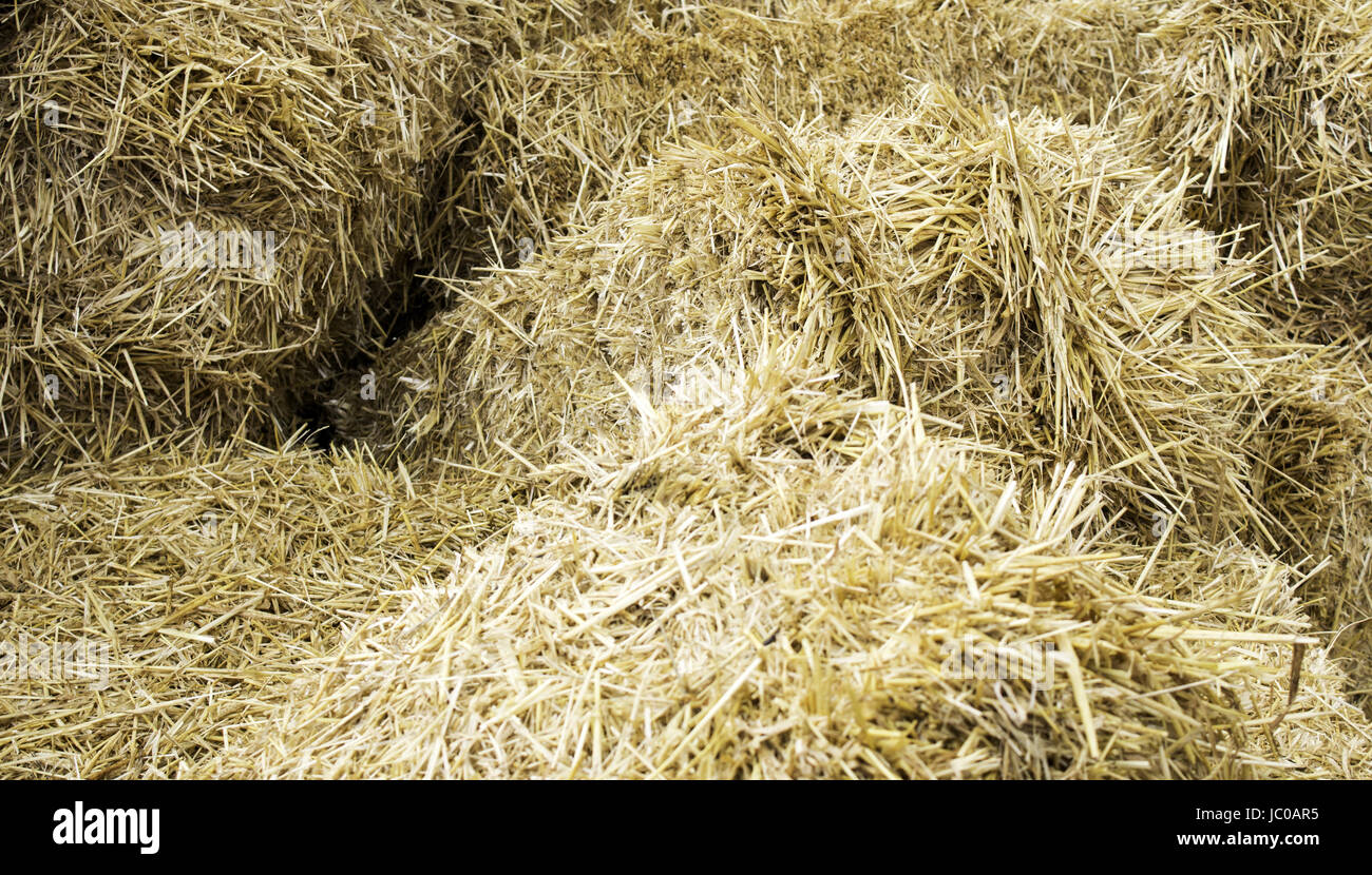 Scattered straw on hi-res stock photography and images - Alamy