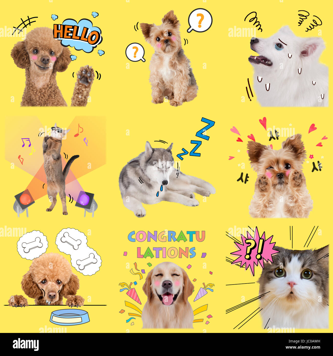 Pets Emotions Set 004 Stock Photo - Alamy