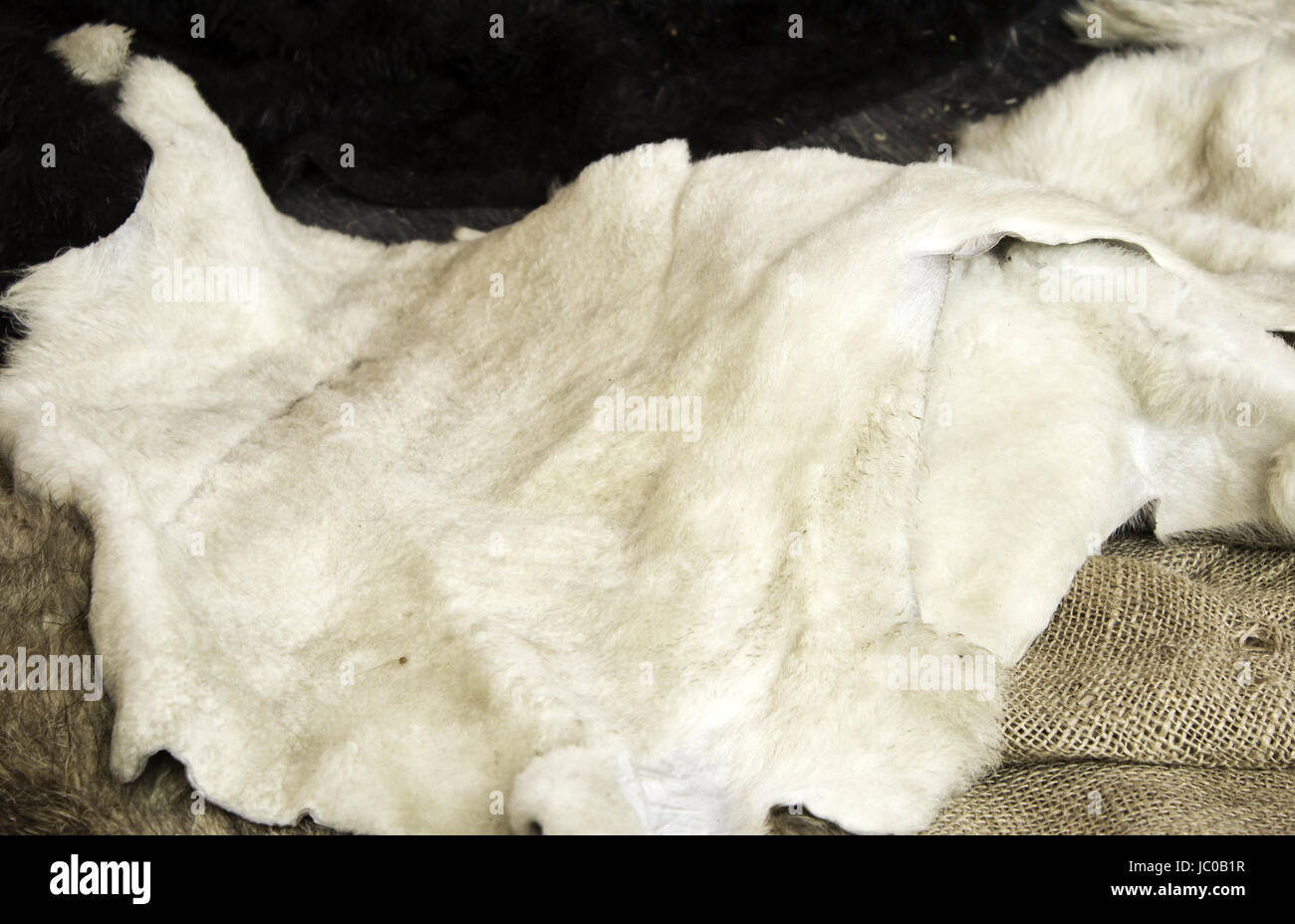 Goat hair texture hi-res stock photography and images - Alamy
