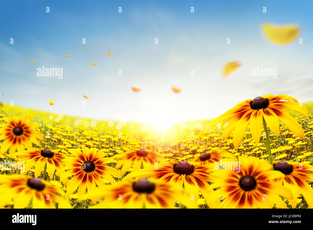 Story of spring 004 Stock Photo - Alamy