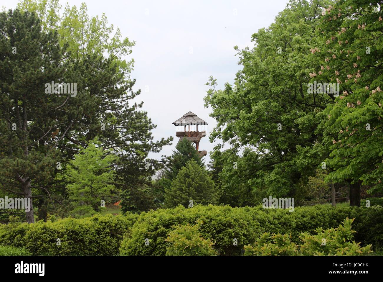 Birdhouse on tall pole hi-res stock photography and images - Alamy