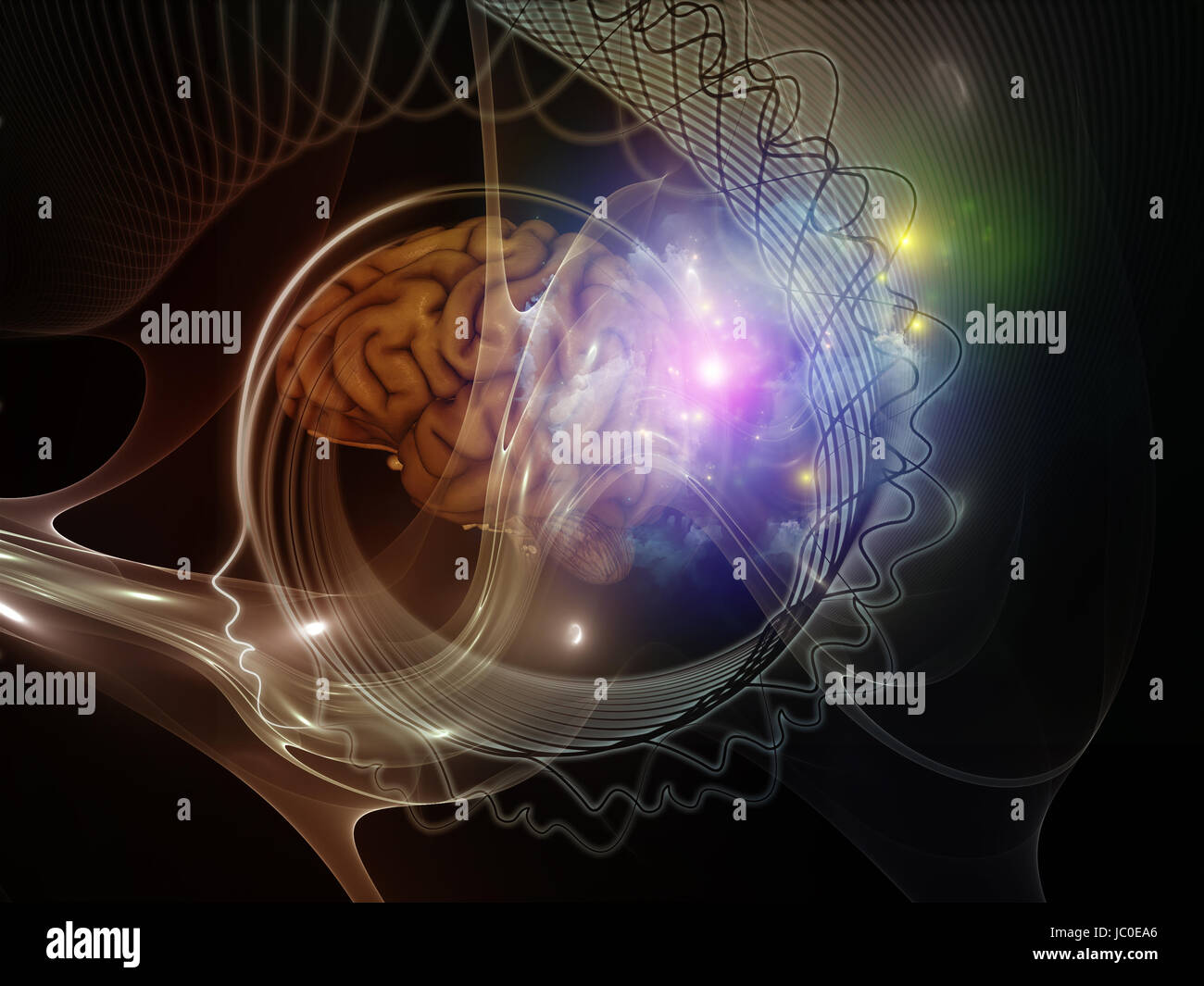 Human Mind series. Visually attractive backdrop made of brain, human ...