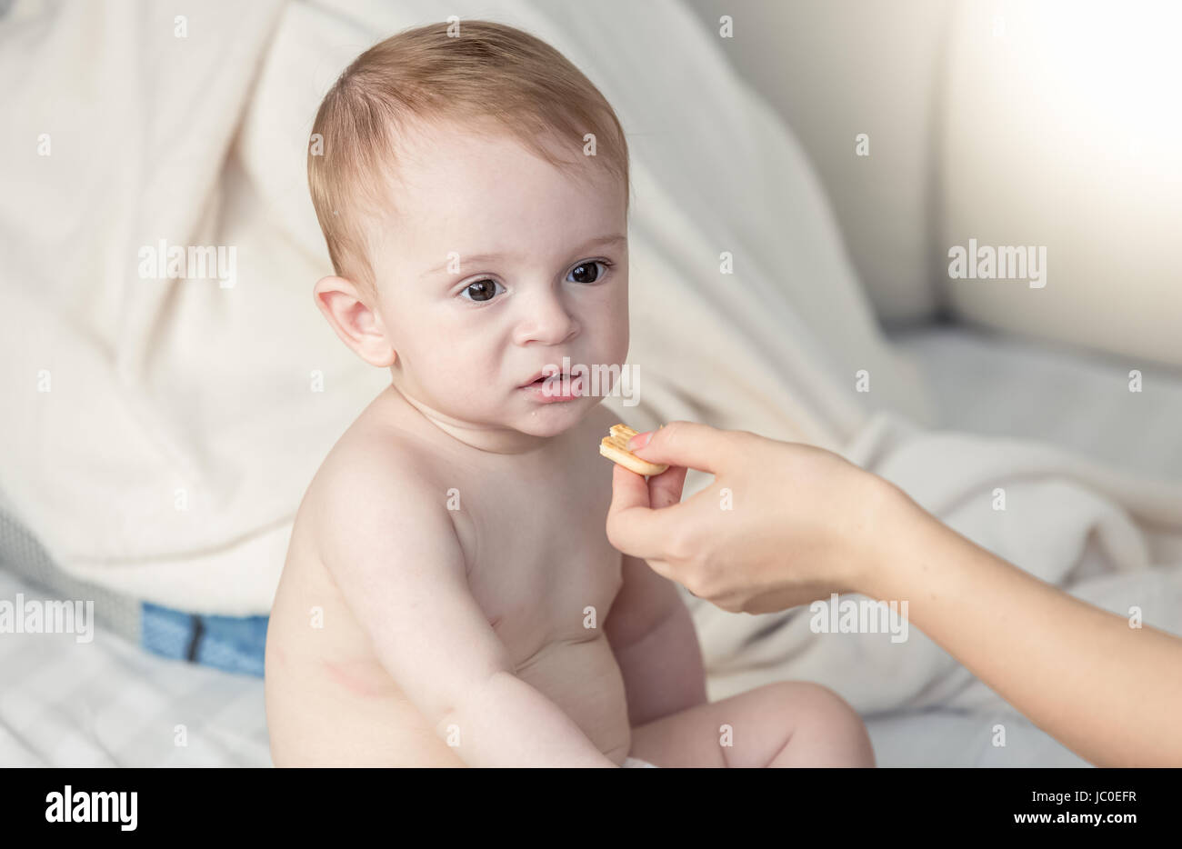 Closeup photo of parent giving biscuit for babies to 9 months old son ...