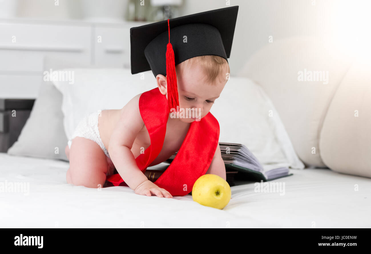Prodigy baby in graduation cap and red ribbon reaching for apple Stock ...