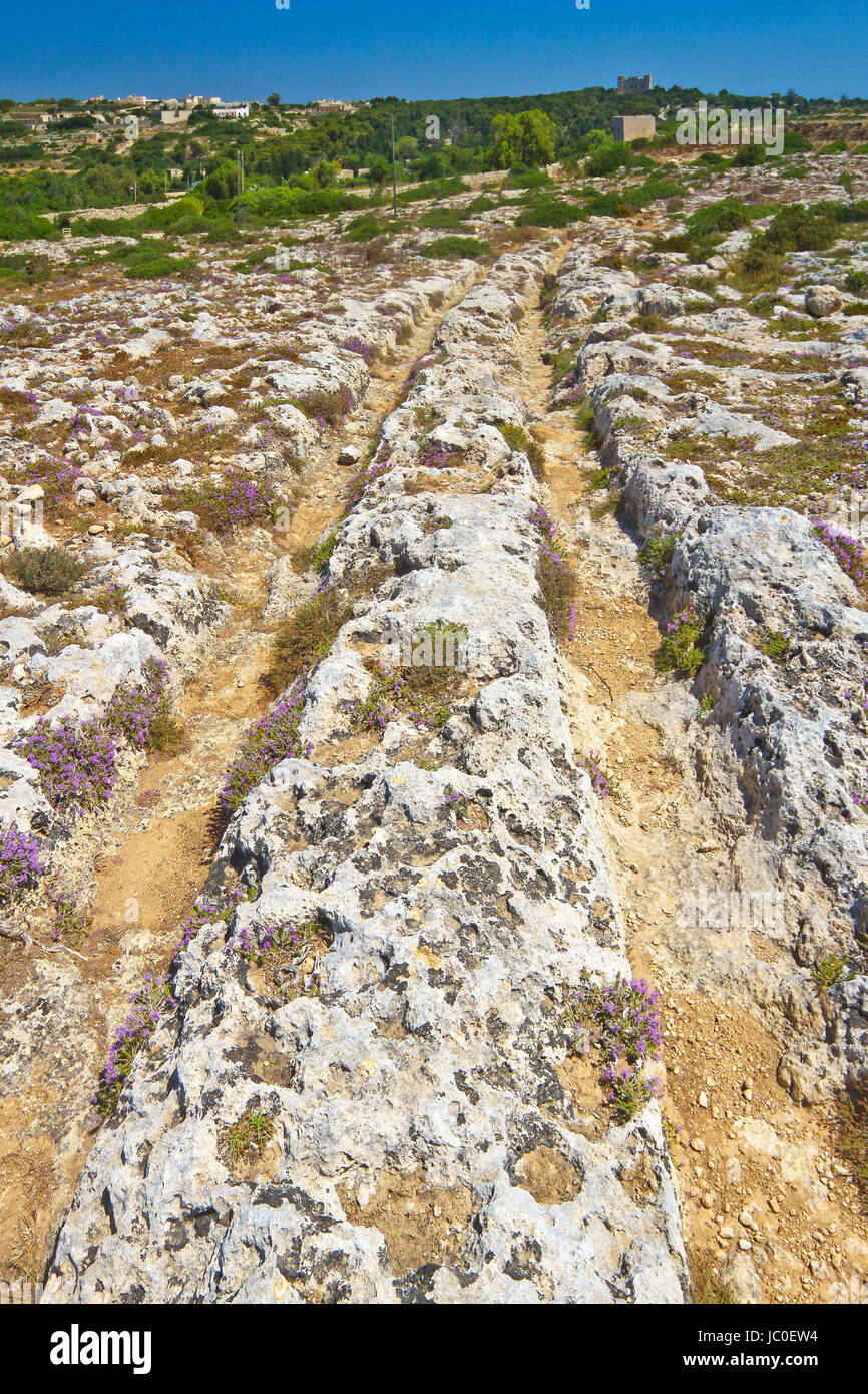 Cart ruts hi-res stock photography and images - Alamy