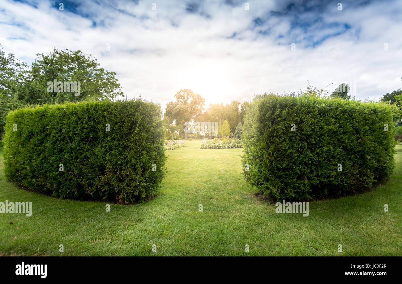 Entrance to decorative bush labyrinth in park at sunny day Stock Photo ...