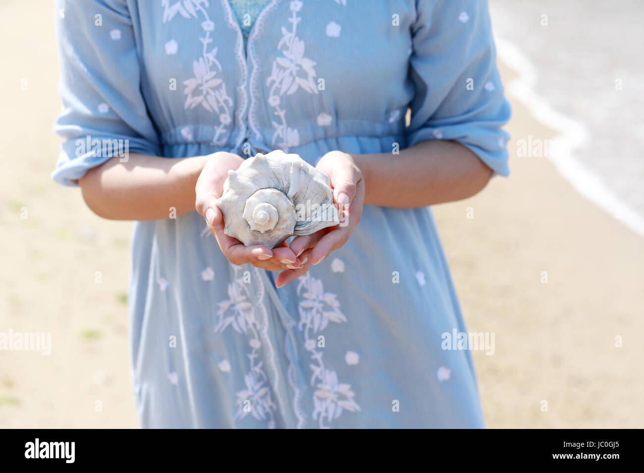 Hand holding seashell hi-res stock photography and images - Alamy