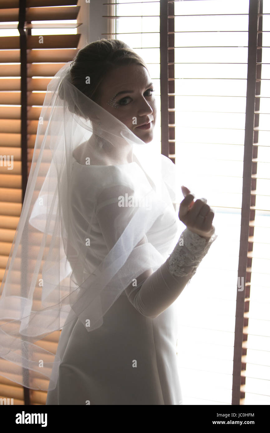 Closeup portrait of elegant bride with long veil posing at big window ...