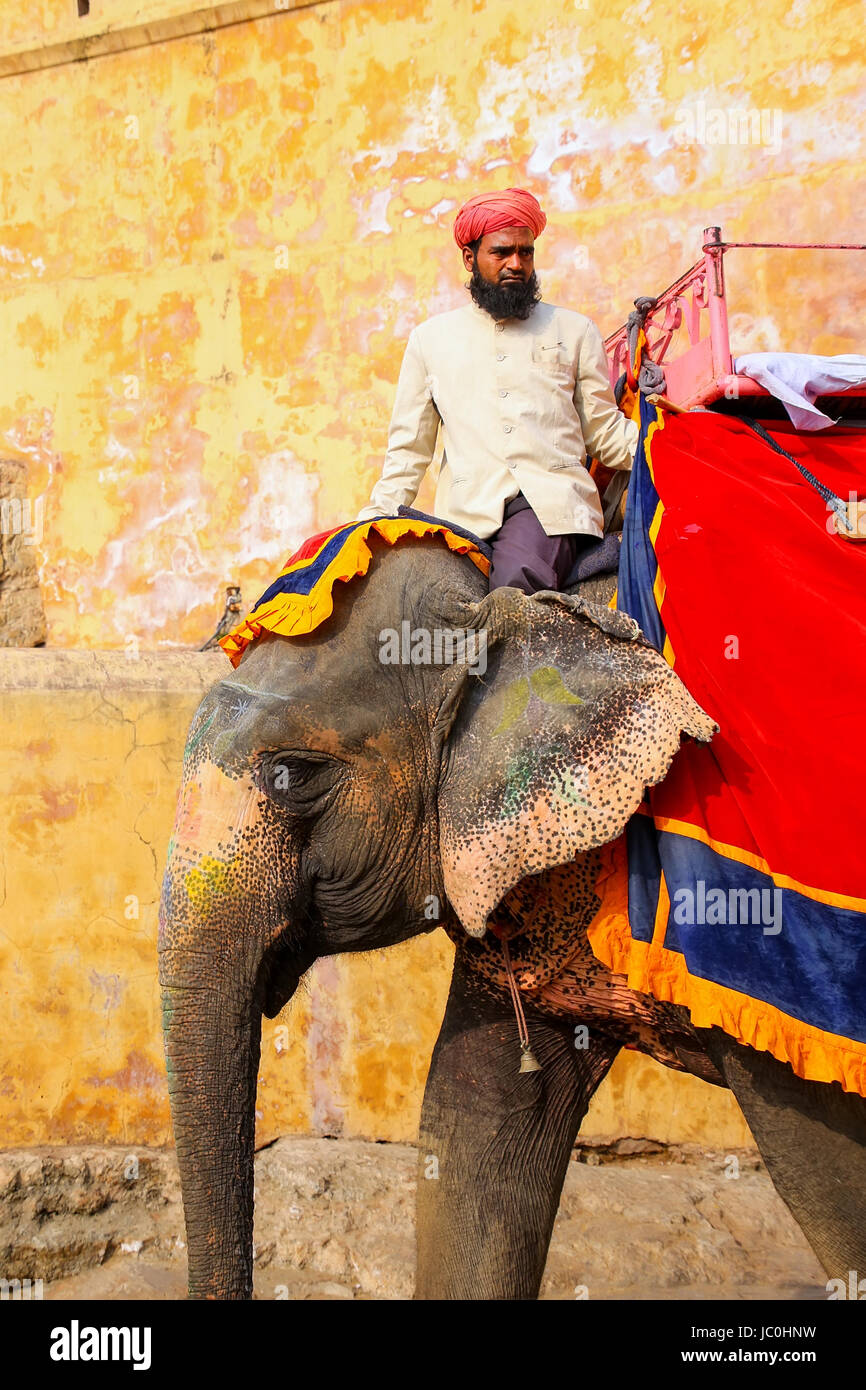 Mahout riding decorated elephant on the cobblestone path to Amber Fort ...