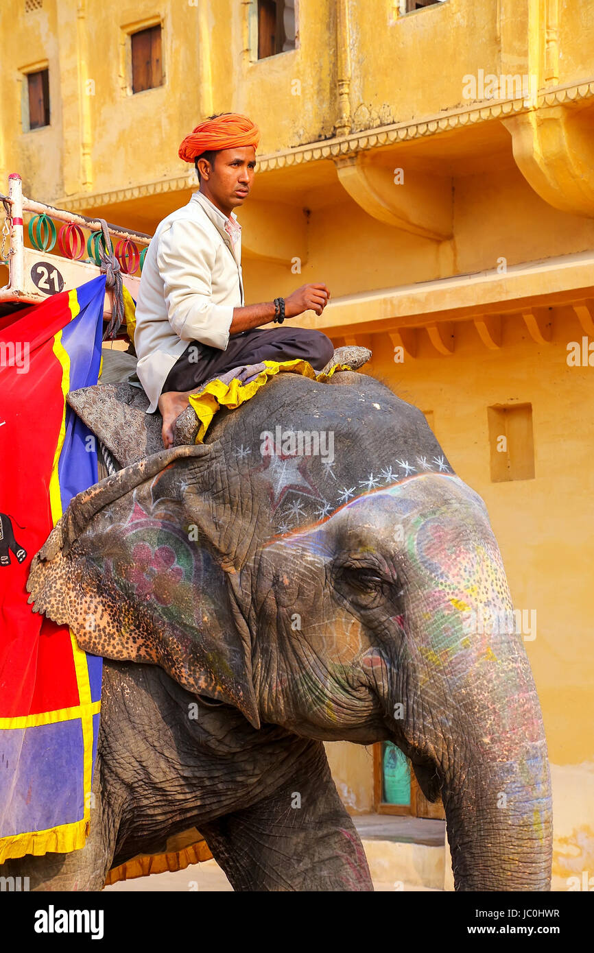Riding elephant india hi-res stock photography and images - Alamy
