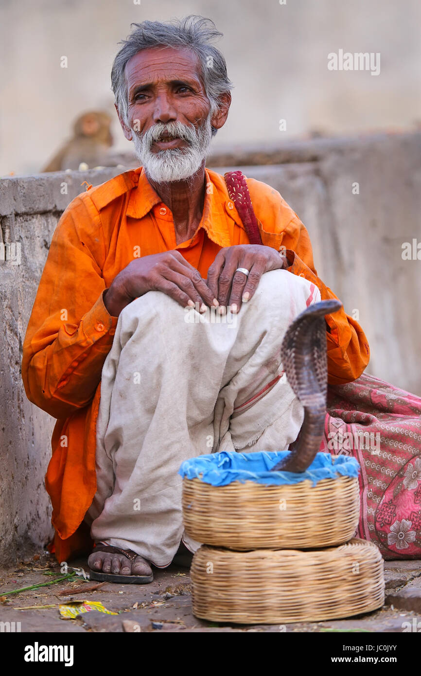 Monkey man india hi-res stock photography and images - Alamy